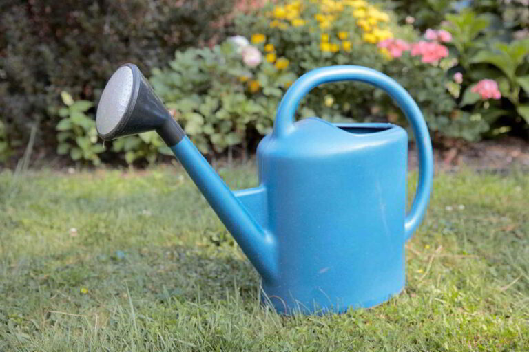 5 herramientas de jardinería que debes tener en tu huerta o jardín ...